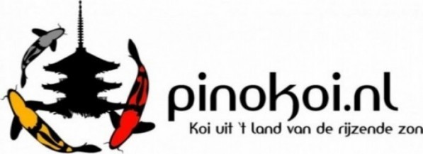 Home - Pino Koi - Vijver producten, Koi en Steur.